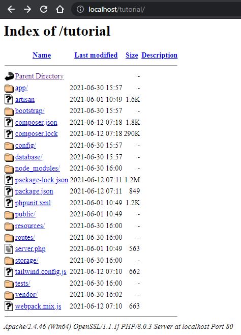 Cómo configurar un virtualhost para un proyecto Laravel en Xampp - Flikimax Cómo configurar un virtualhost para un proyecto Laravel en Xampp - Flikimax
